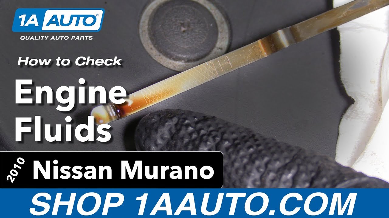 How to Check the Fluids 2009-14 Nissan Murano | 1A Auto